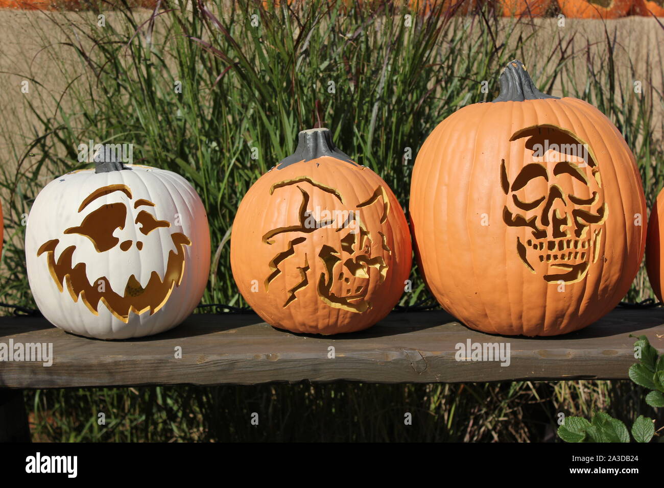 Pumpkin carver hi-res stock photography and images - Alamy