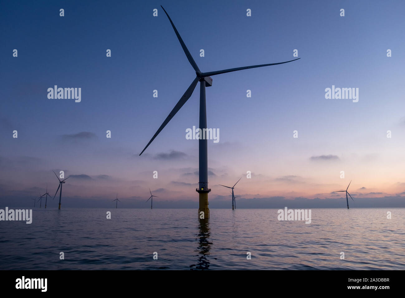 Dawn breaks over some of the 175 turbines on the London Array Offshore ...