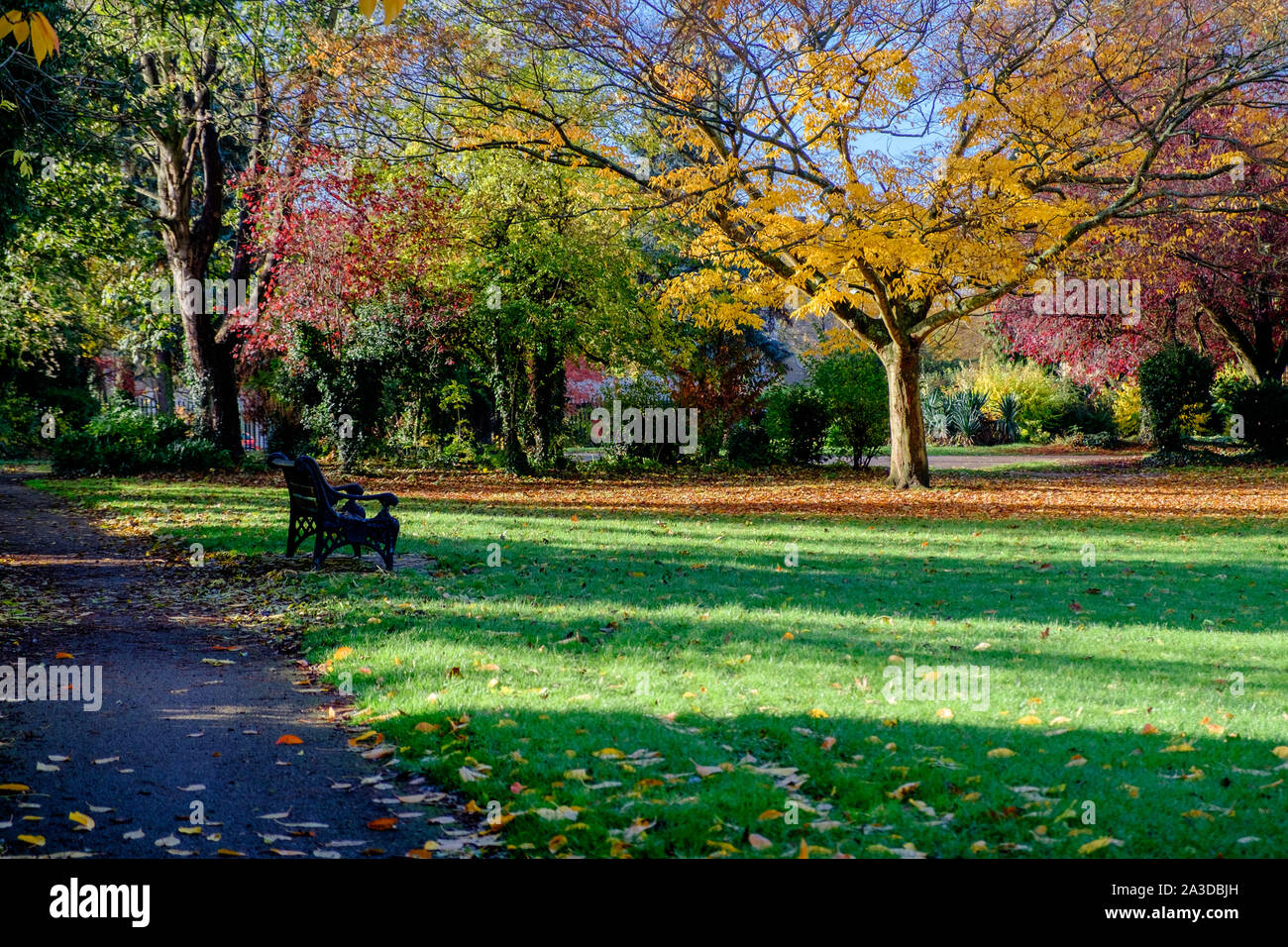 Landscape view of Stonegrove Park in Autumn, Edgware, North West London ...