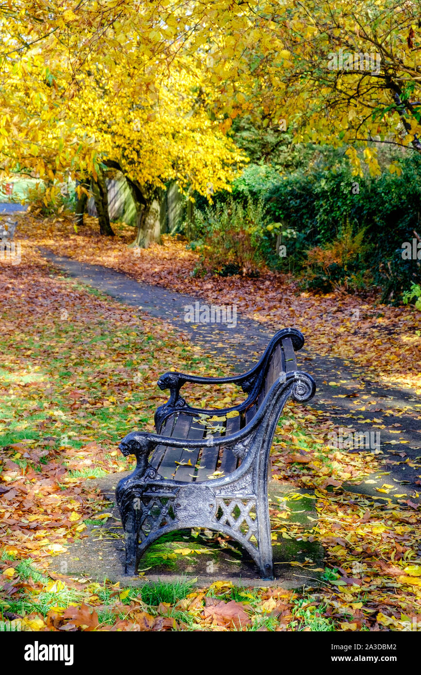 An empty park bench in a park covered with autumn leaves and trees ...