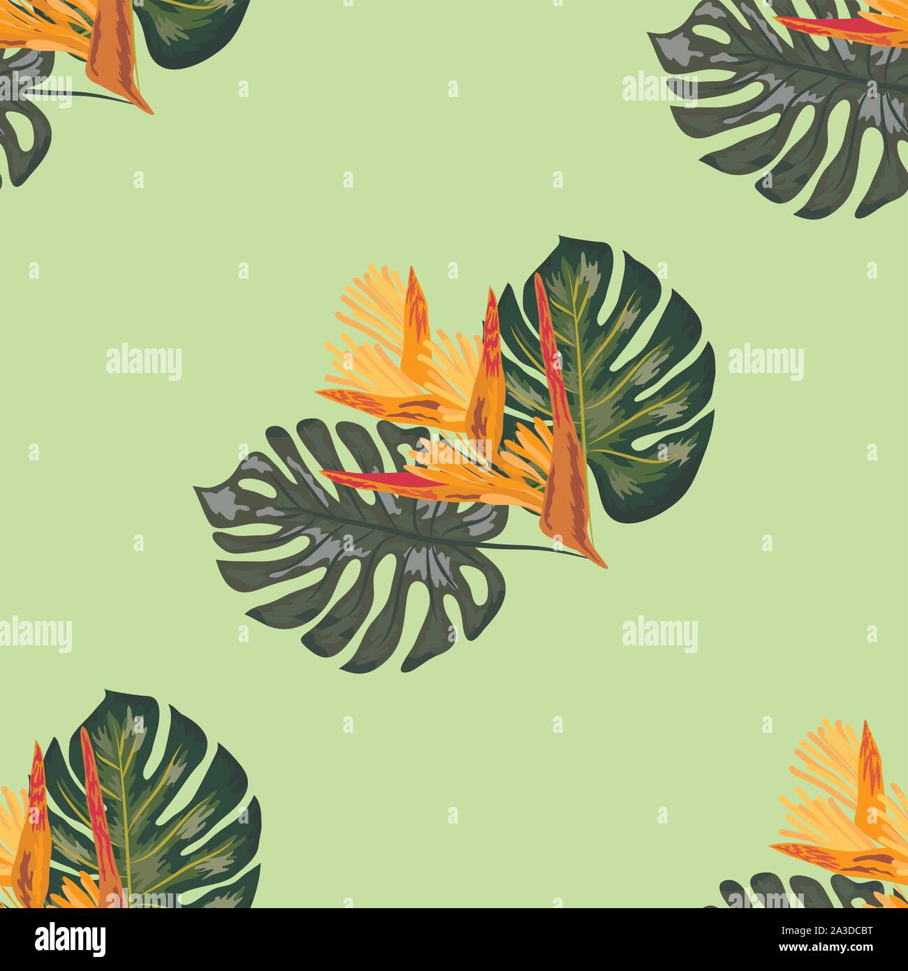 Summer jungle pattern with tropical flowers heliconia or lobster-claw ...