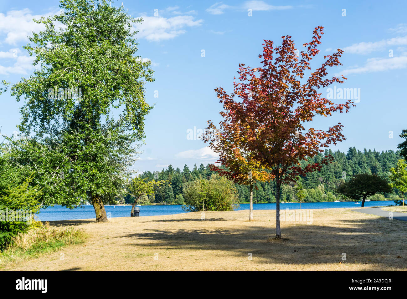 A landscape shot of a walkway along Lake Washington in Seattle Stock ...