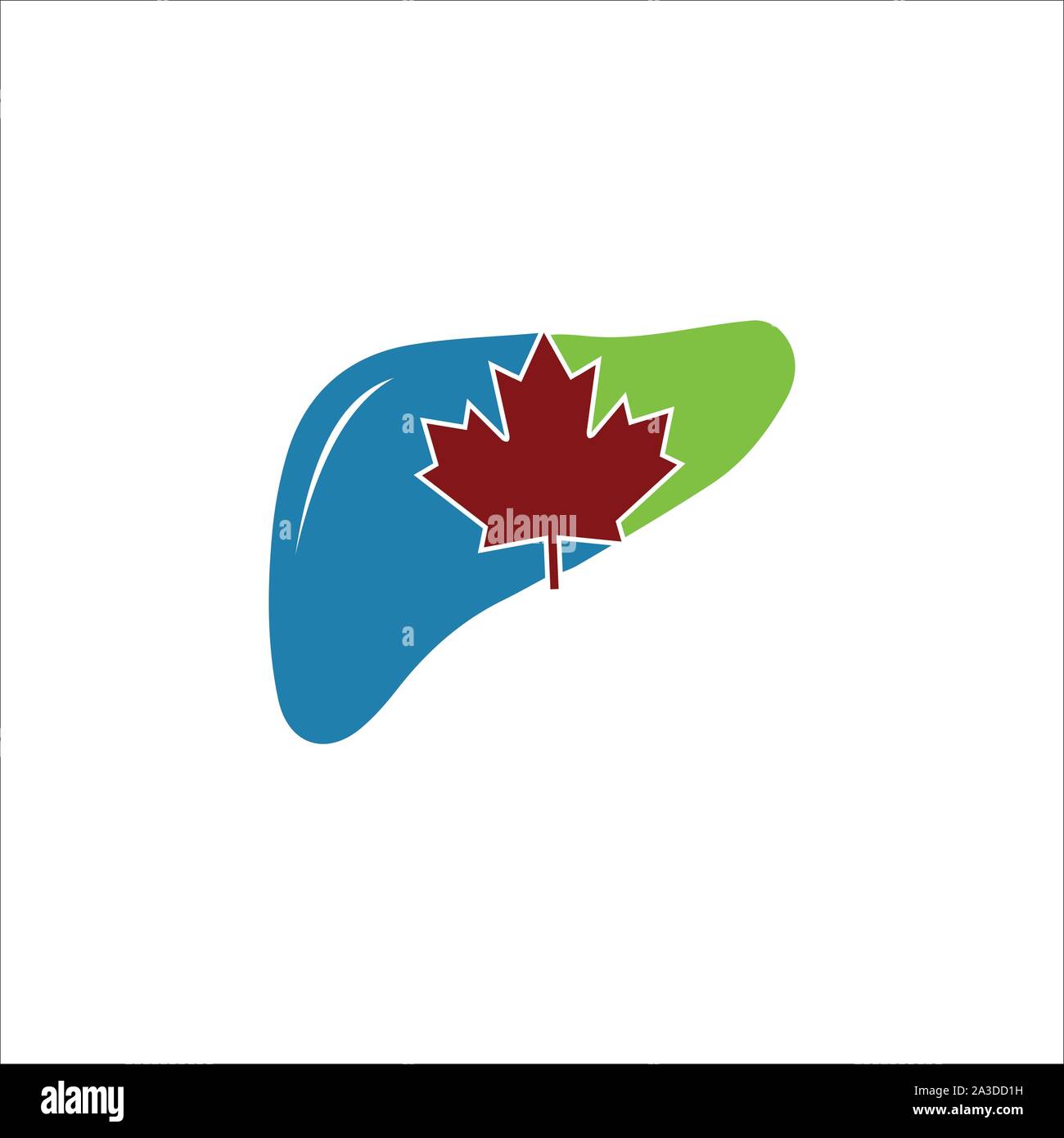 vector liver icon flat logo,human disease health design,liver anatomy ...