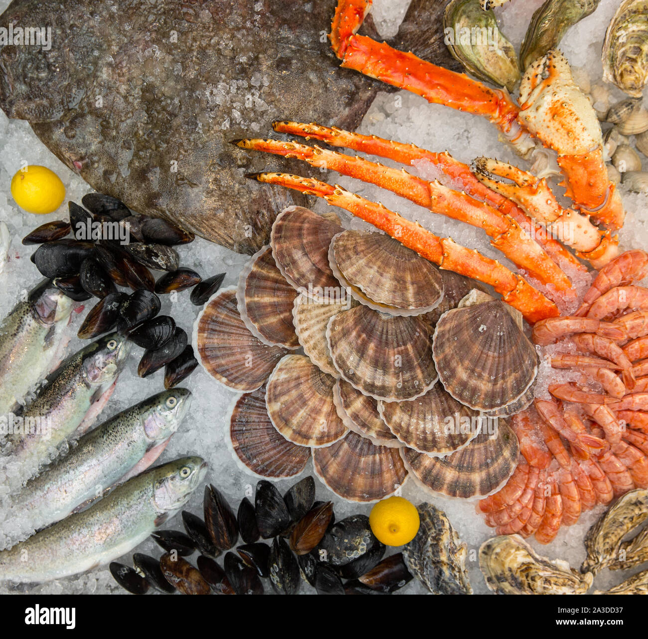 Fresh fish seafood assortment hi-res stock photography and images - Alamy
