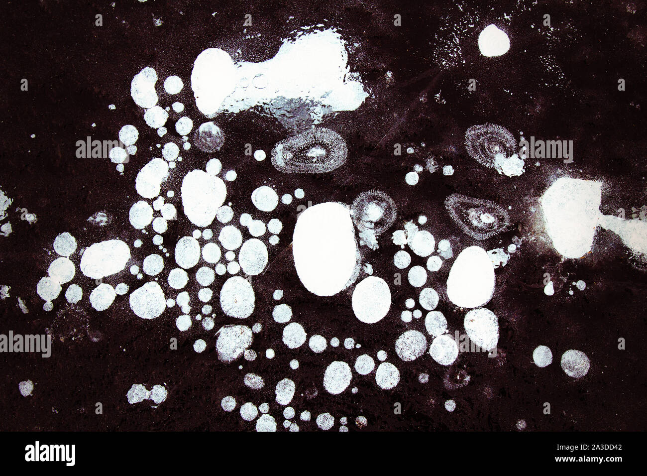 The macro structure, pattern and crystals of newly formed ice called ...