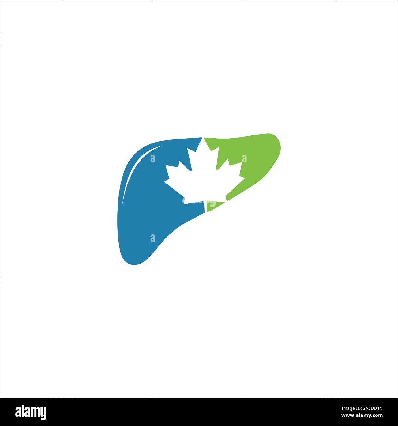 vector liver icon flat logo,human disease health design,liver anatomy ...