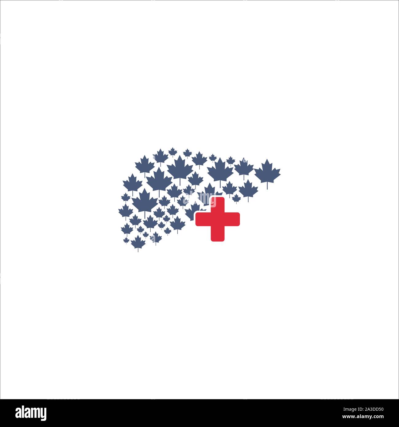 vector liver icon flat logo,human disease health design,liver anatomy ...