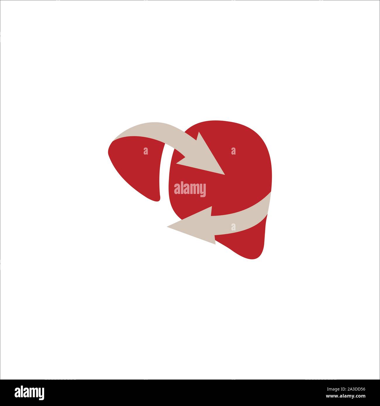 vector liver icon flat logo,human disease health design,liver anatomy ...