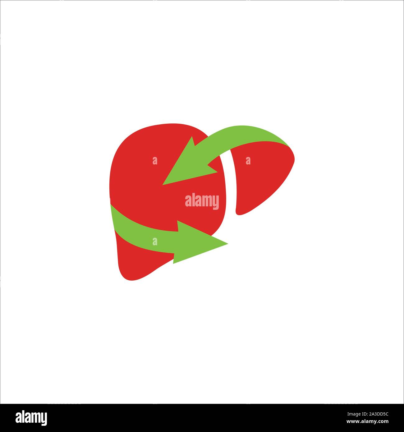 vector liver icon flat logo,human disease health design,liver anatomy ...