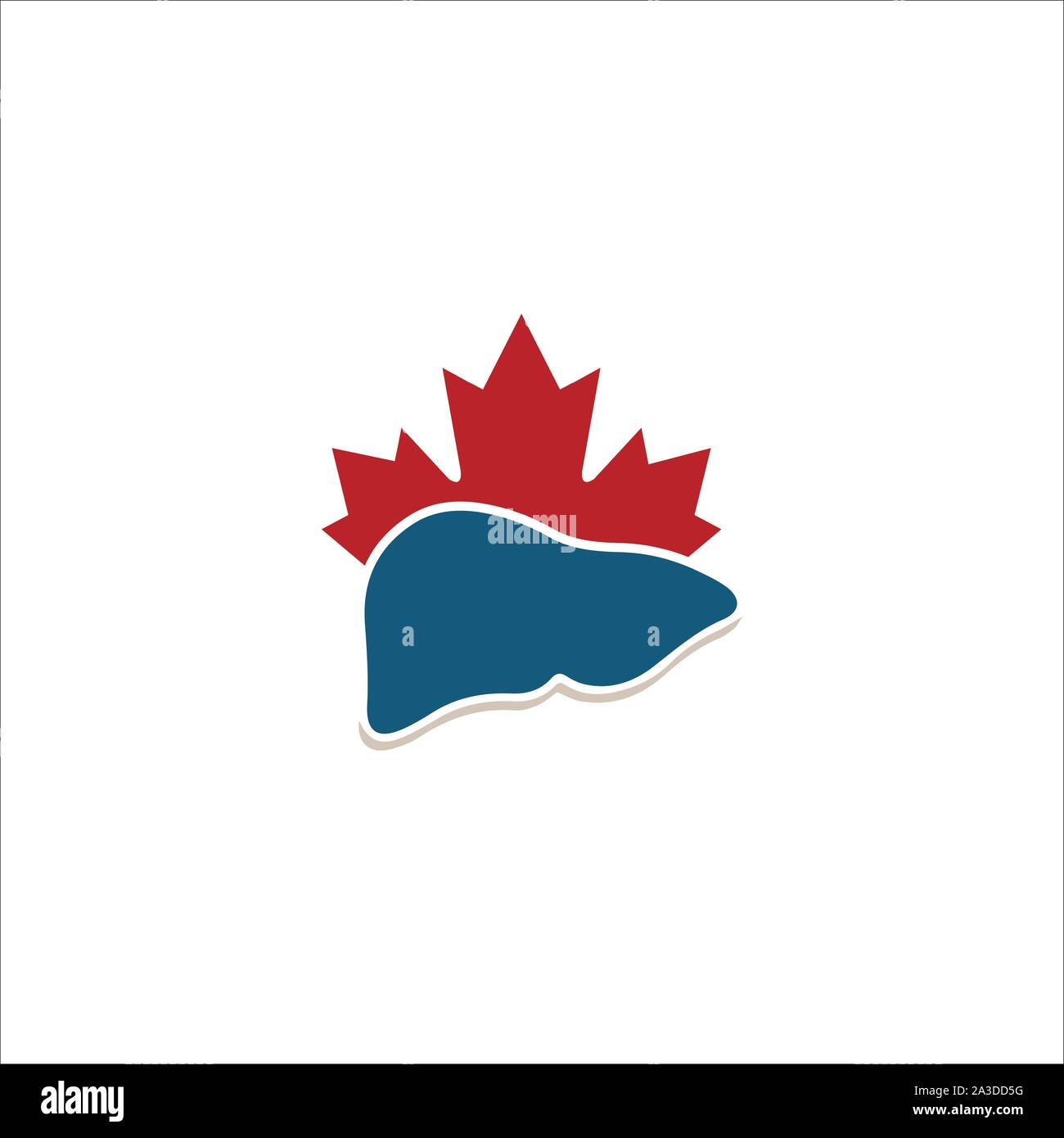 vector liver icon flat logo,human disease health design,liver anatomy ...