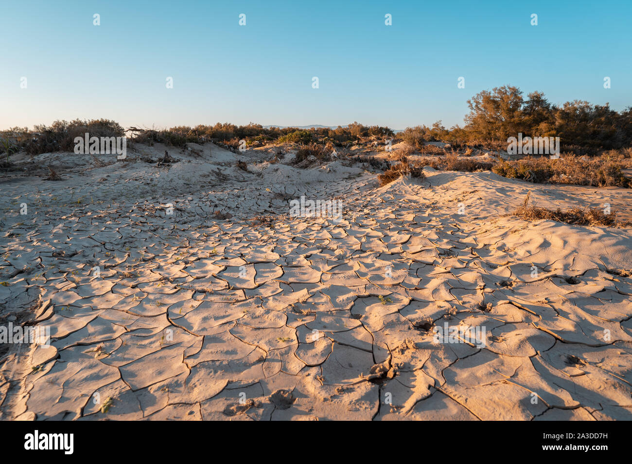 Desertification. Drought land. Desert dry and cracked ground Stock ...