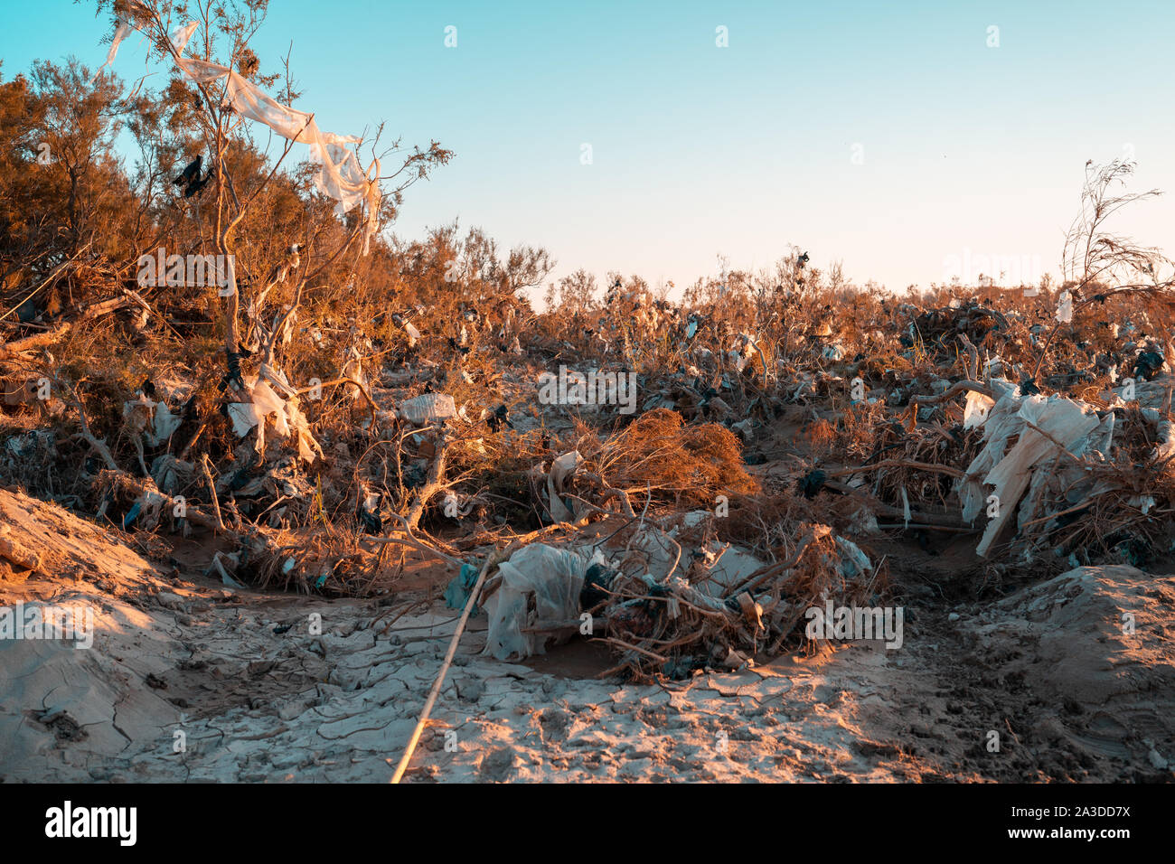 Garbage pile in nature among plants. Toxic plastic into nature ...