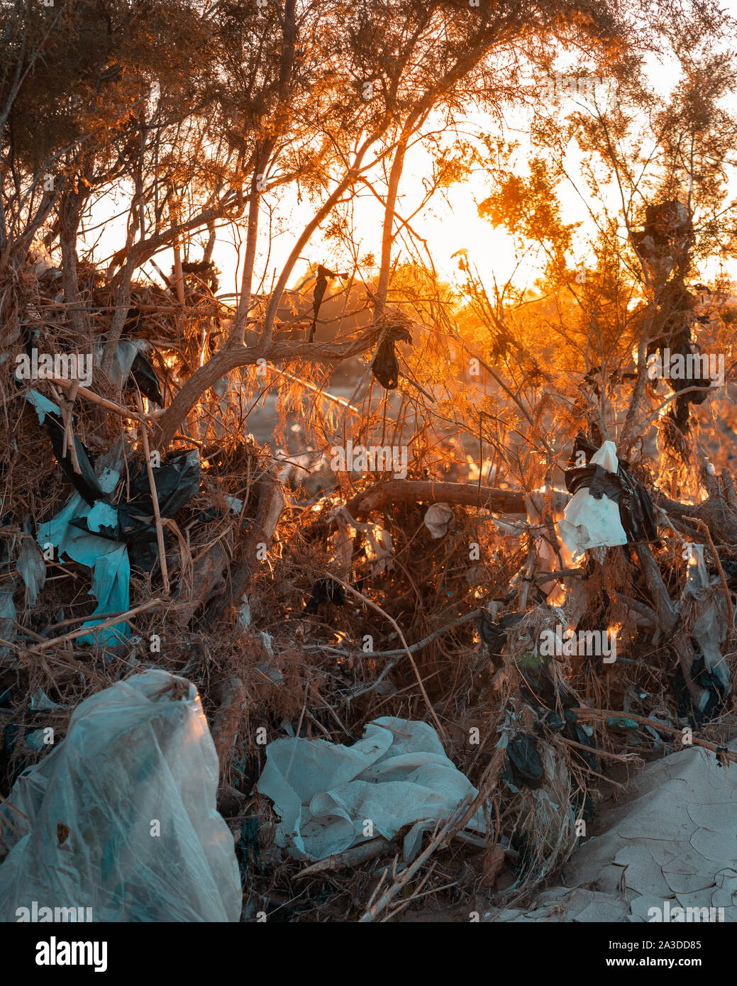 Garbage pile in nature among plants. Toxic plastic into nature ...
