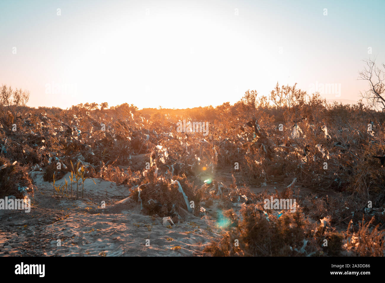 Garbage pile in nature among plants. Toxic plastic into nature ...