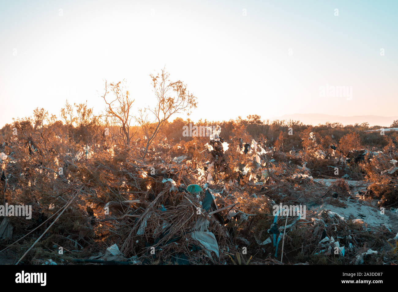 Garbage pile in nature among plants. Toxic plastic into nature ...
