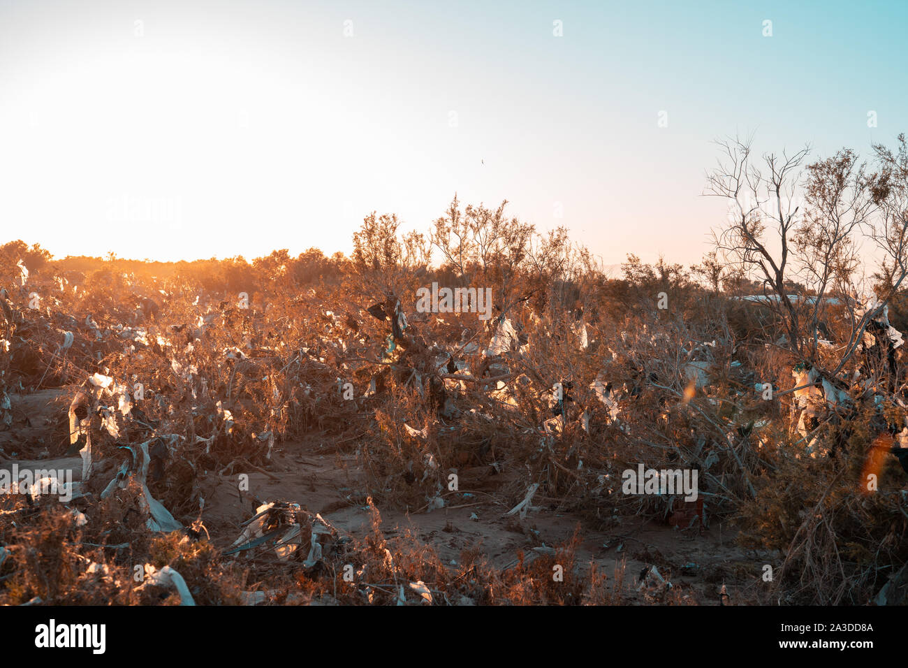 Garbage pile in nature among plants. Toxic plastic into nature ...