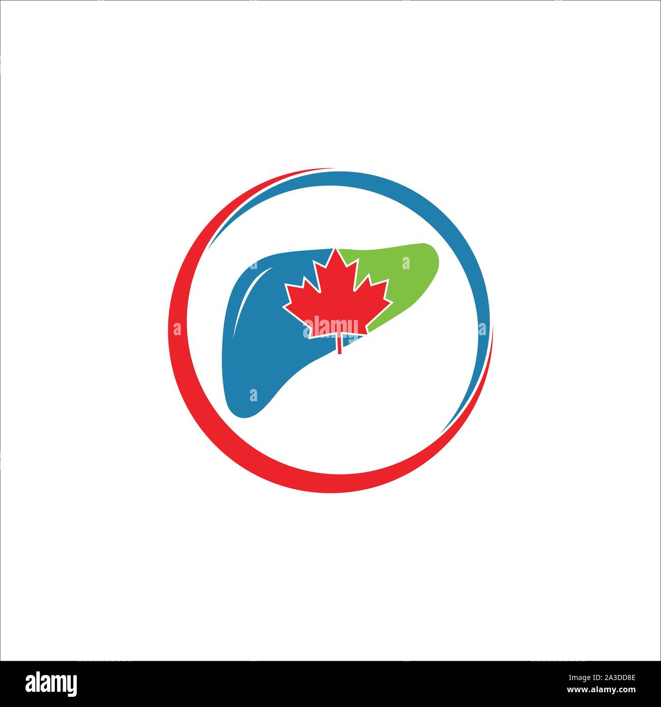 vector liver icon flat logo,human disease health design,liver anatomy ...