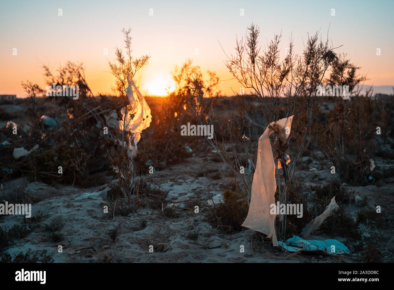 Garbage pile in nature among plants. Toxic plastic into nature ...