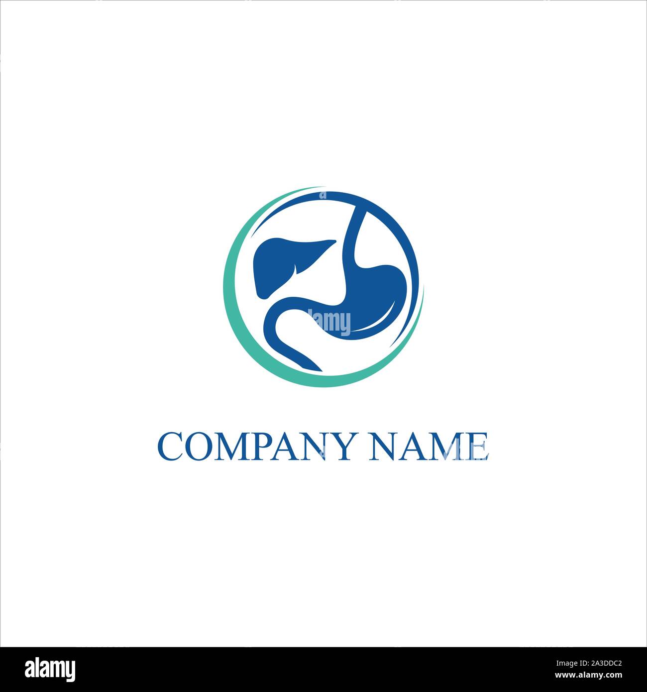 vector liver icon flat logo,human disease health design,liver anatomy ...