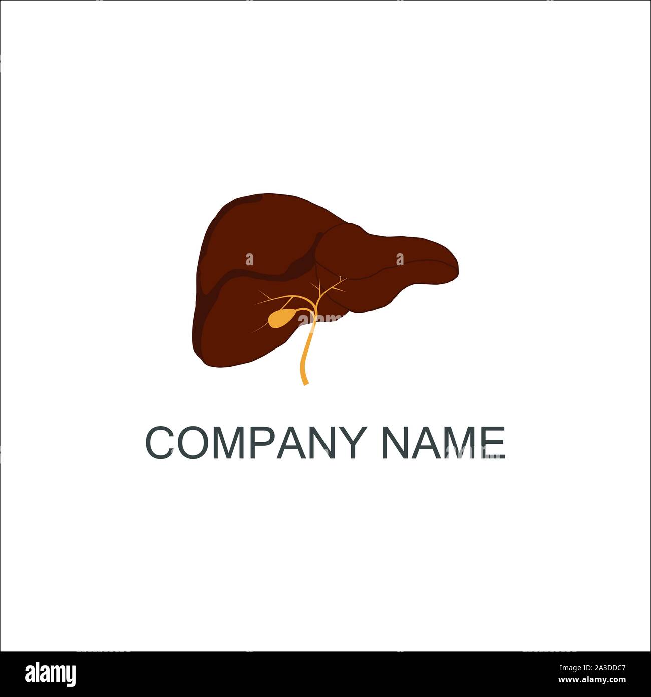 vector liver icon flat logo,human disease health design,liver anatomy ...