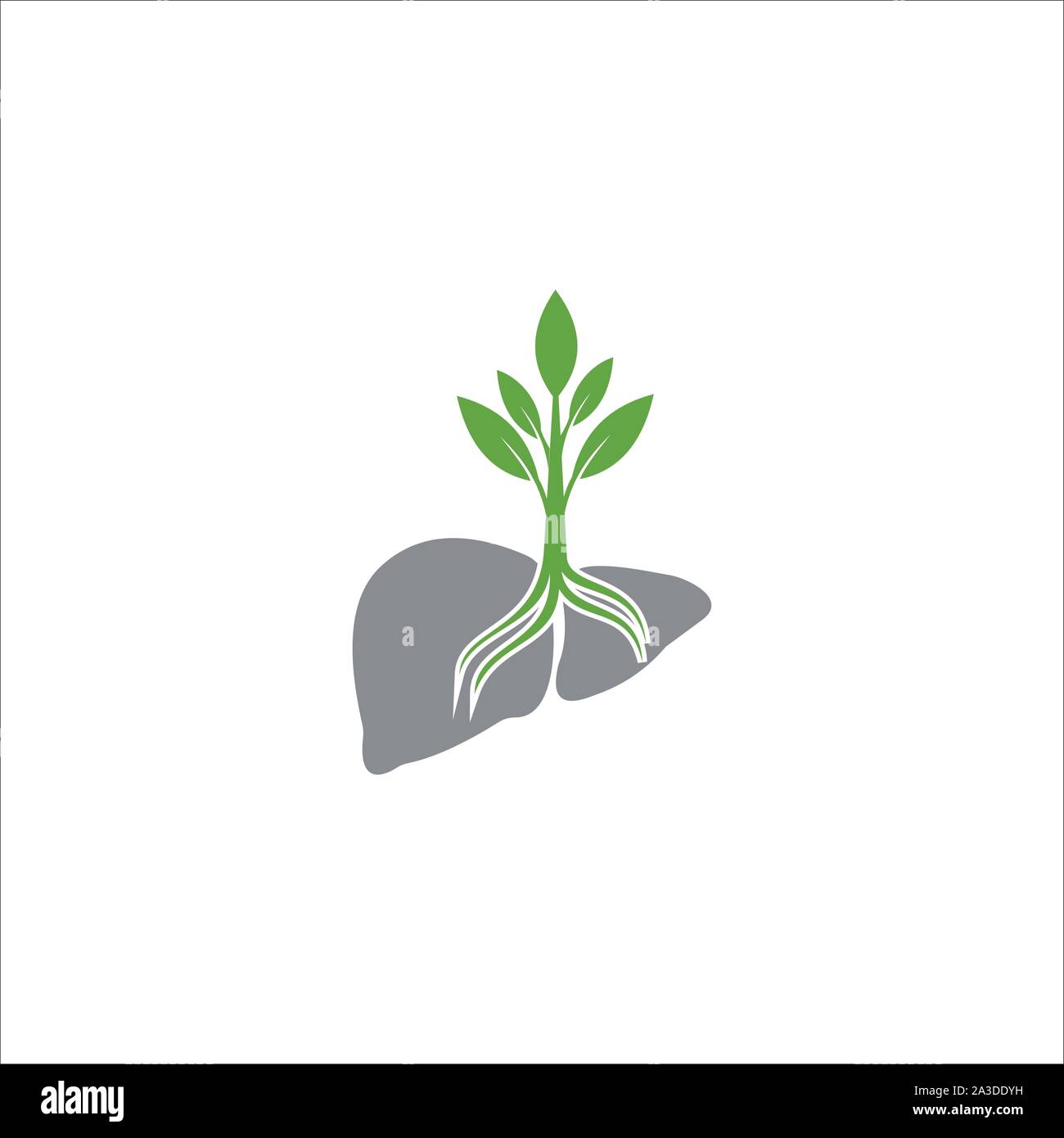 vector liver icon flat logo,human disease health design,liver anatomy ...