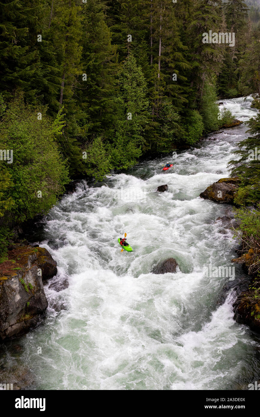 A group of whitewater kayakers paddle down the Cheakamus river in ...