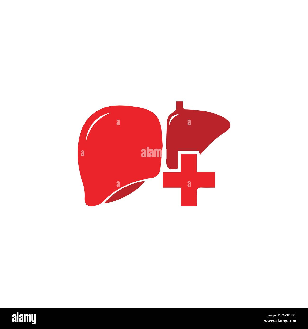 vector liver icon flat logo,human disease health design,liver anatomy ...