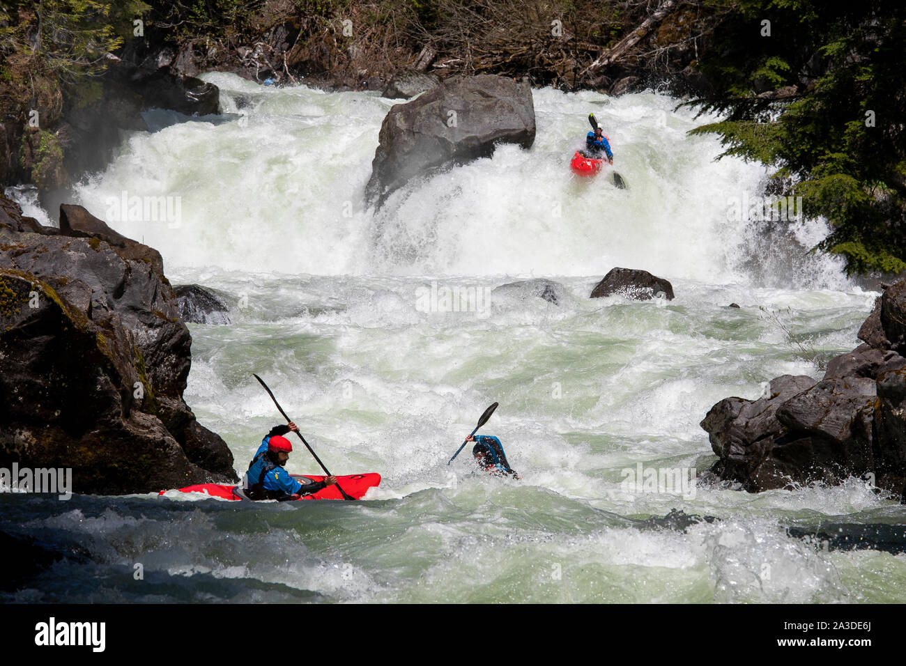 Three whitewater kayakers paddle down the Callaghan Creek in Whistler ...
