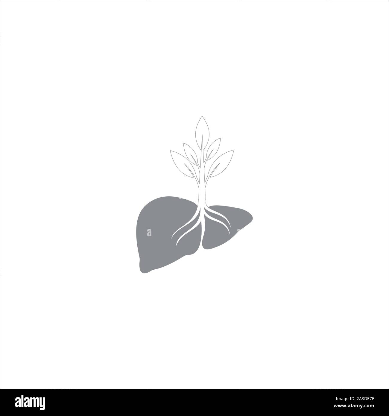 vector liver icon flat logo,human disease health design,liver anatomy ...