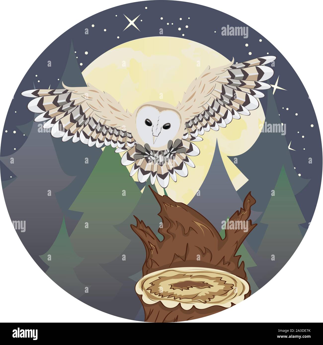Barn owl night Cut Out Stock Images & Pictures - Alamy
