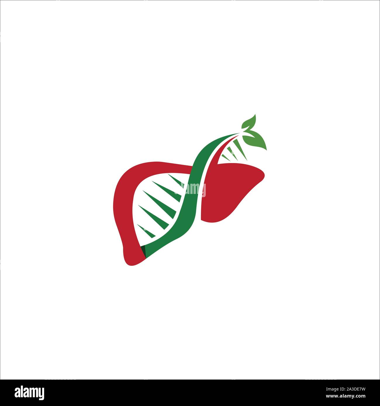 vector liver icon flat logo,human disease health design,liver anatomy ...