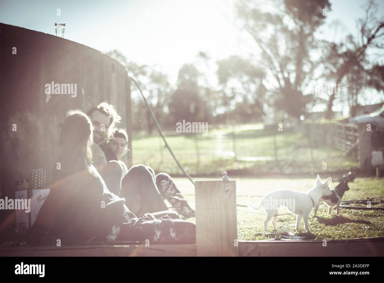 Friends with dogs sit and laugh outside in sunlight on farm Stock Photo ...