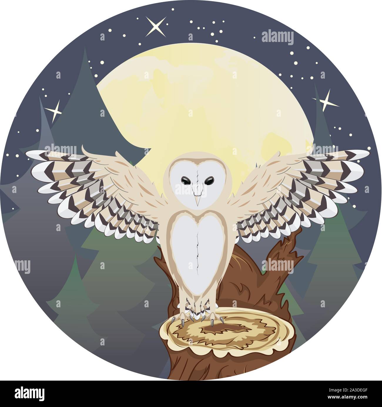 Barn owl cartoon hi-res stock photography and images - Alamy