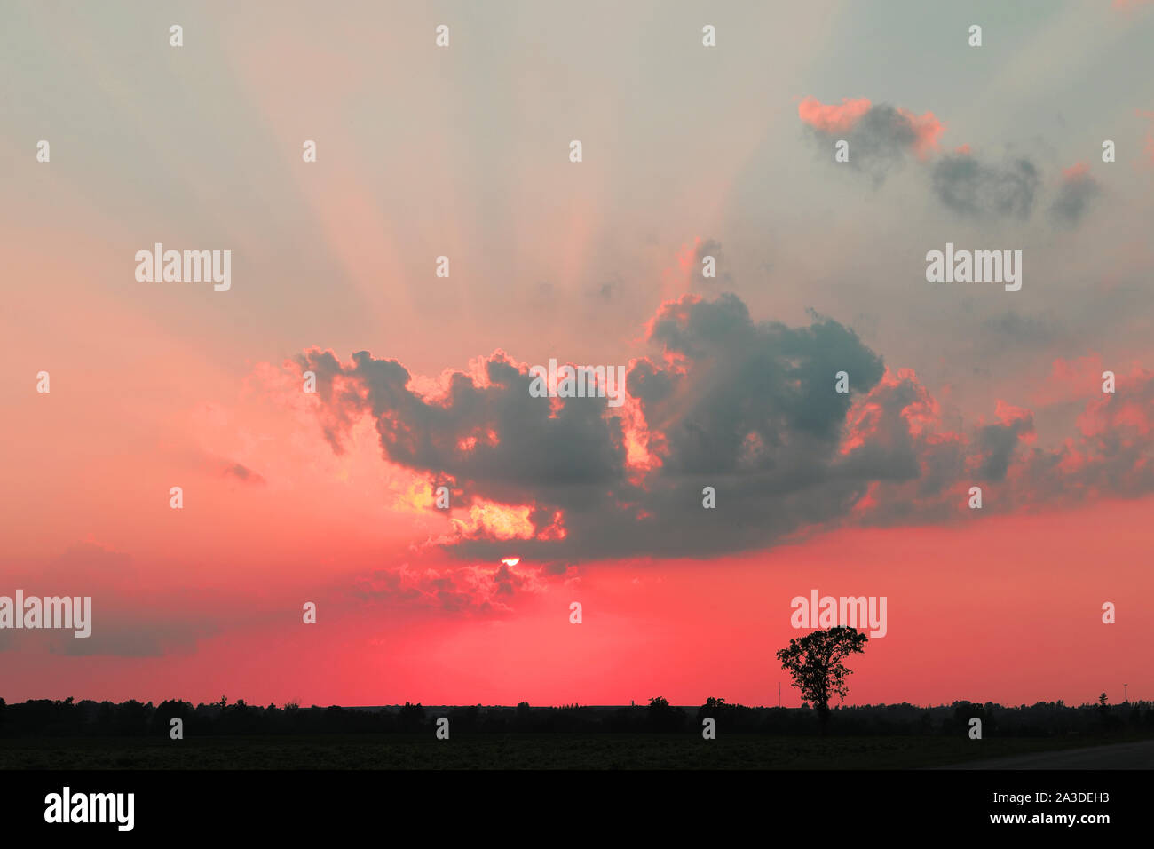 A Dramatic red sky and rays at sunset Stock Photo - Alamy