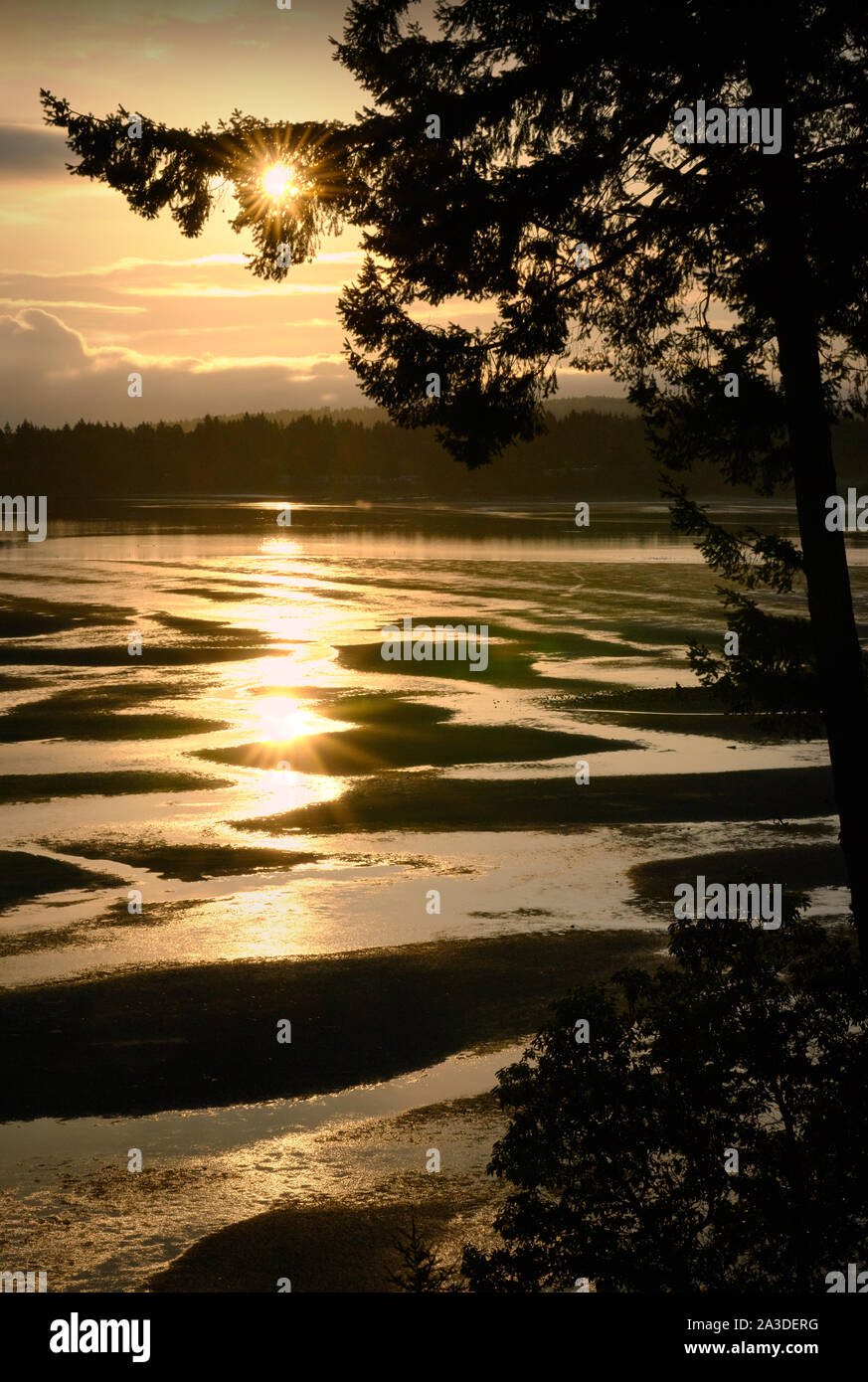Parksville british columbia hi-res stock photography and images - Alamy