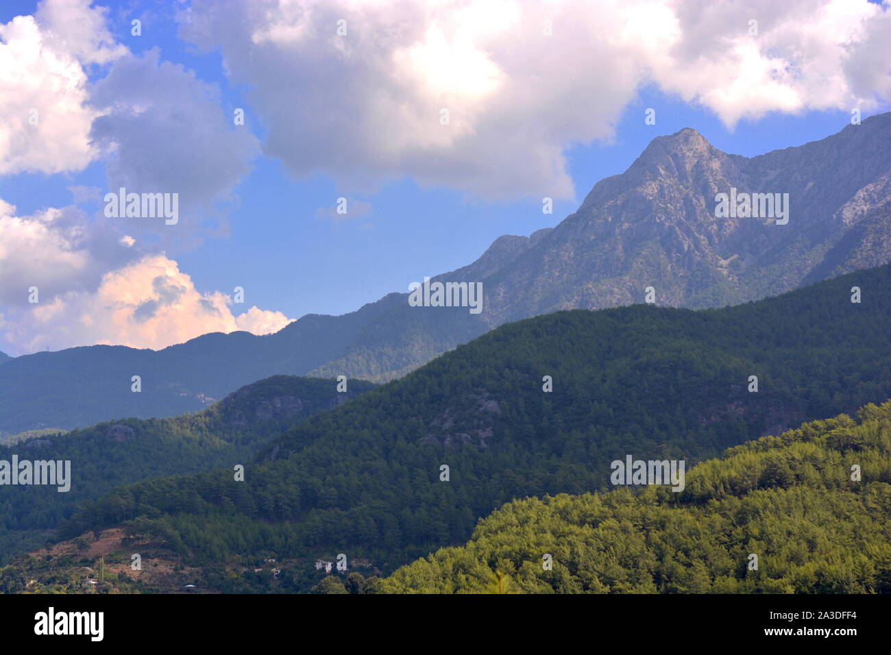 Taurus jeep safari hi-res stock photography and images - Alamy
