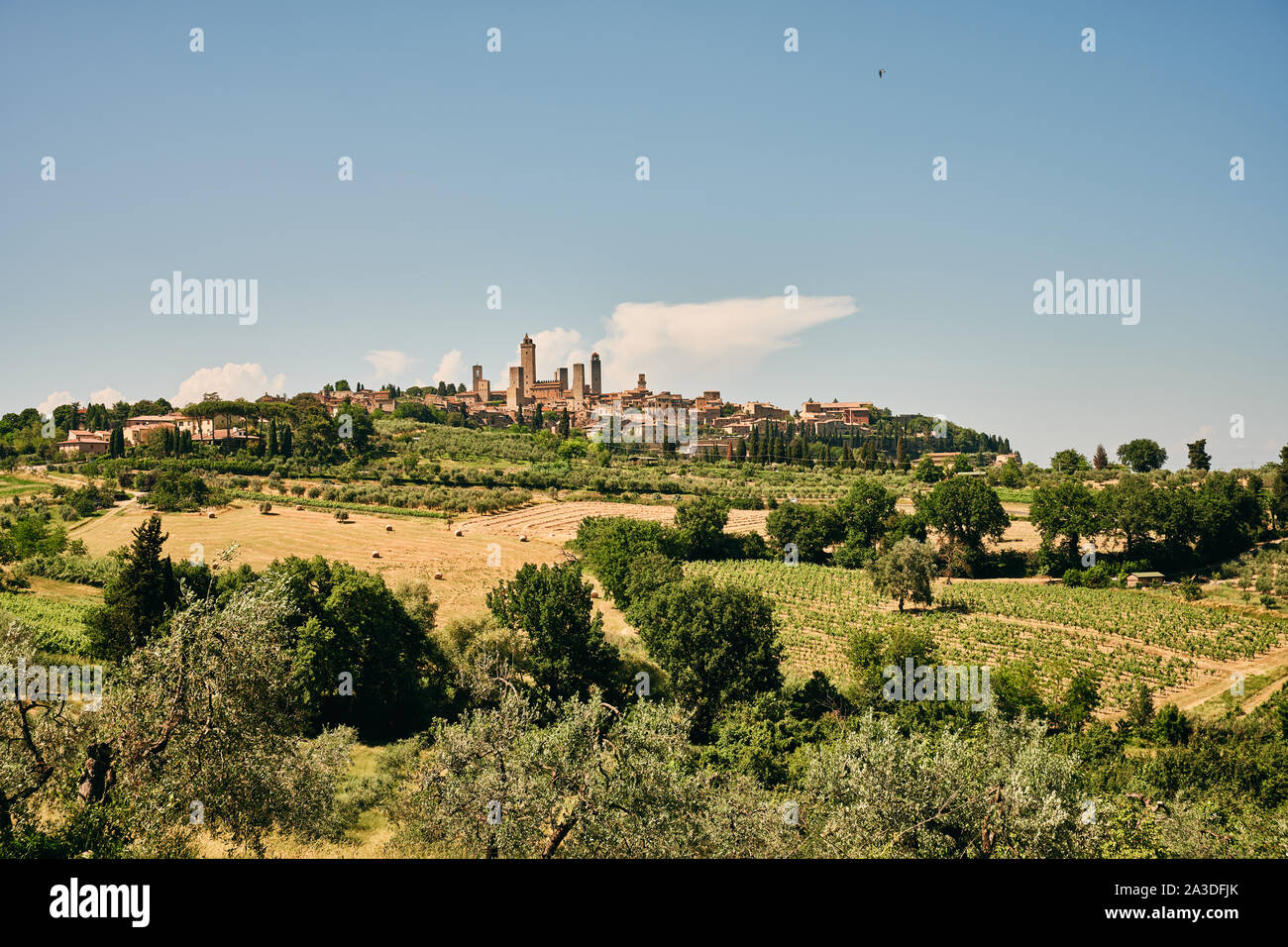 Pictorial scenic amazing view of Italian fields with olives trees and ...
