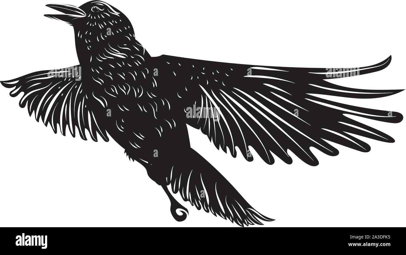 Stylized silhouette of a black raven, crow on white background Stock ...