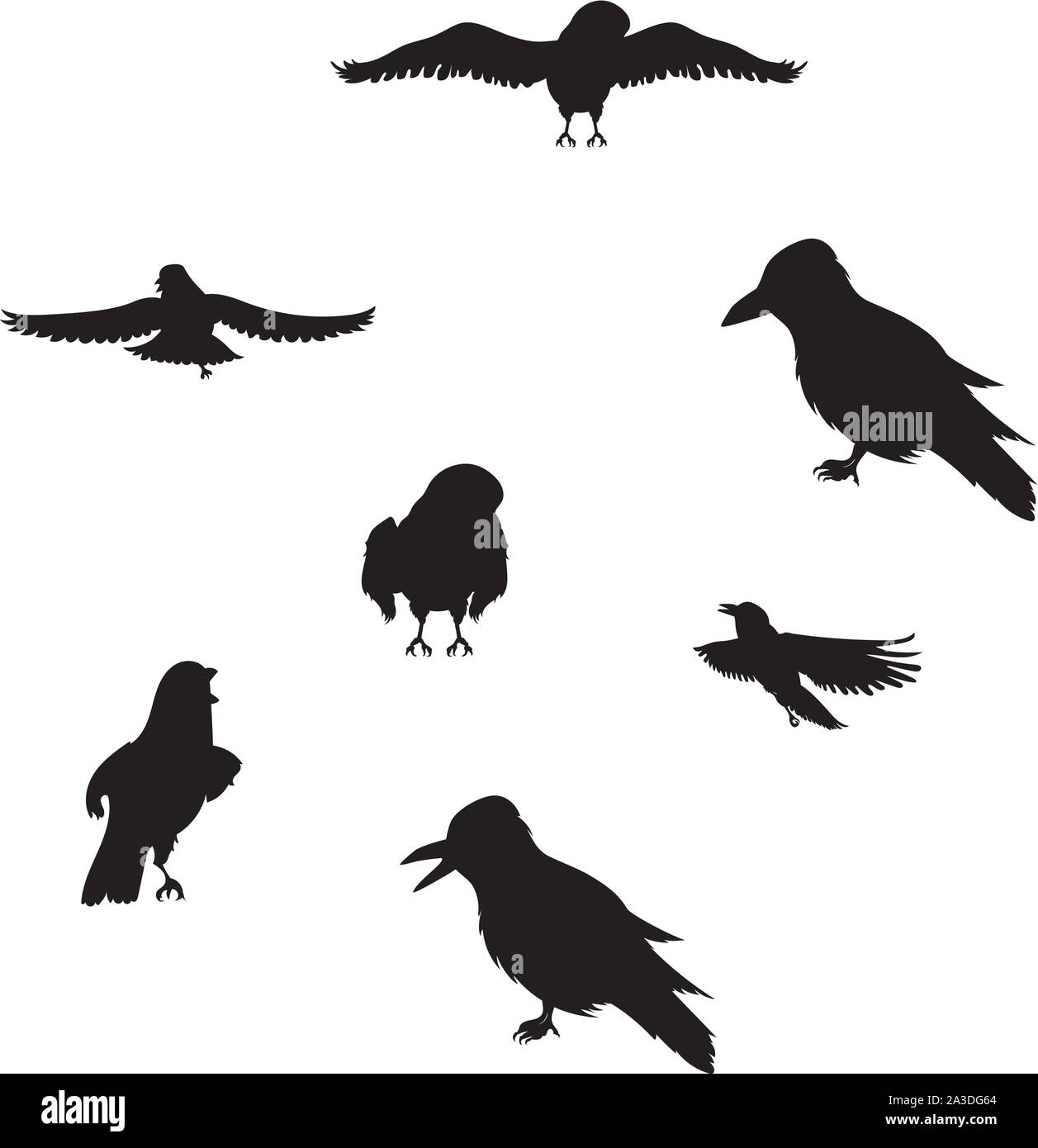 Stylized silhouette of a black raven, crow on white background Stock ...