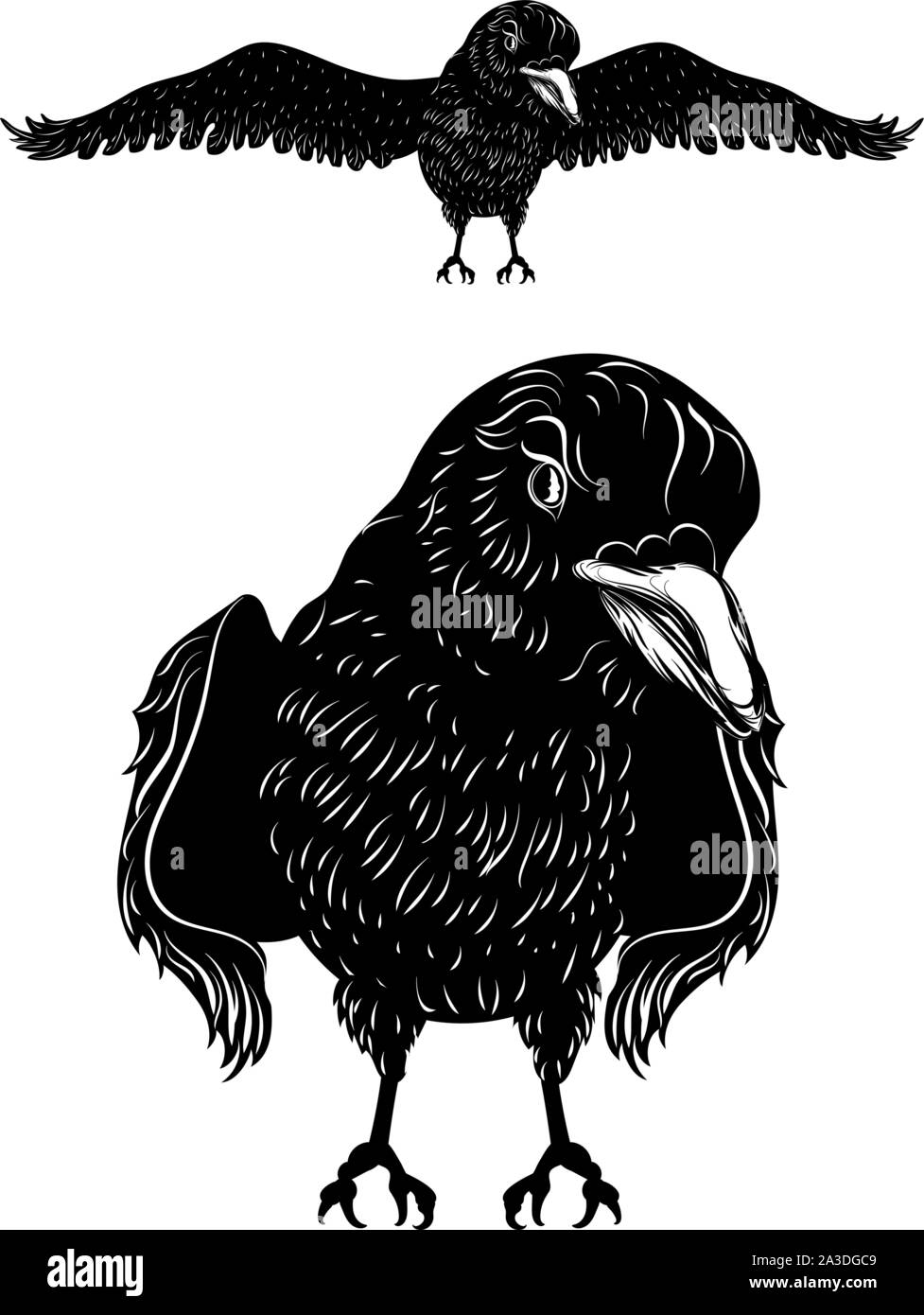 Stylized silhouette of a black raven, crow on white background Stock ...