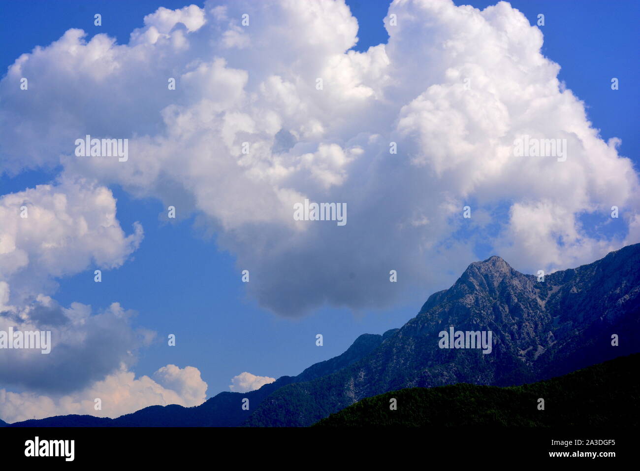 Taurus jeep safari hi-res stock photography and images - Alamy