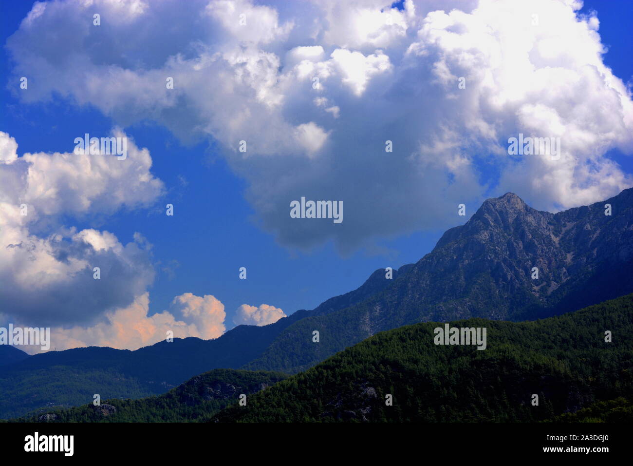 Taurus jeep safari hi-res stock photography and images - Alamy