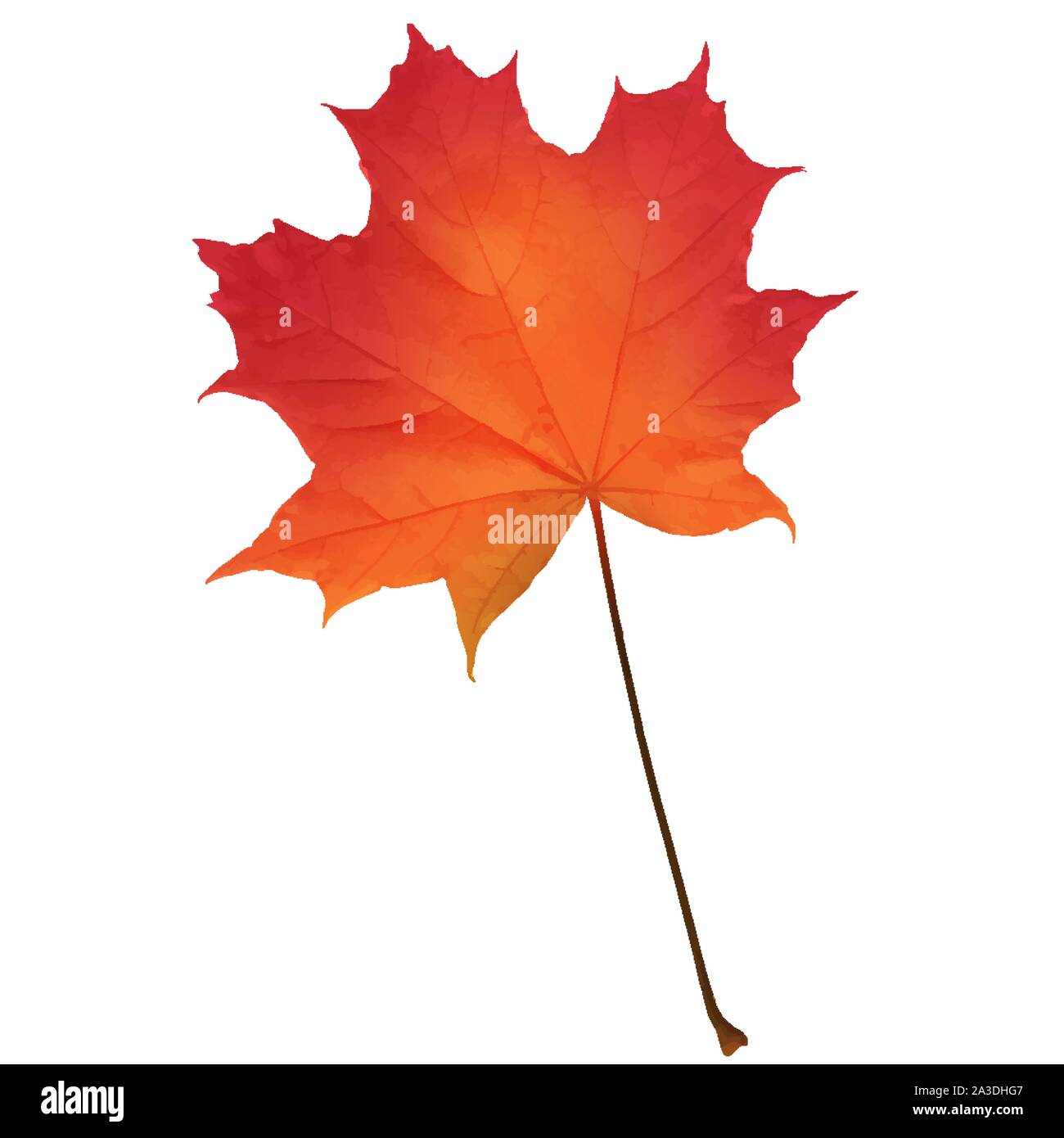 Realistic leaf Stock Vector Images - Alamy