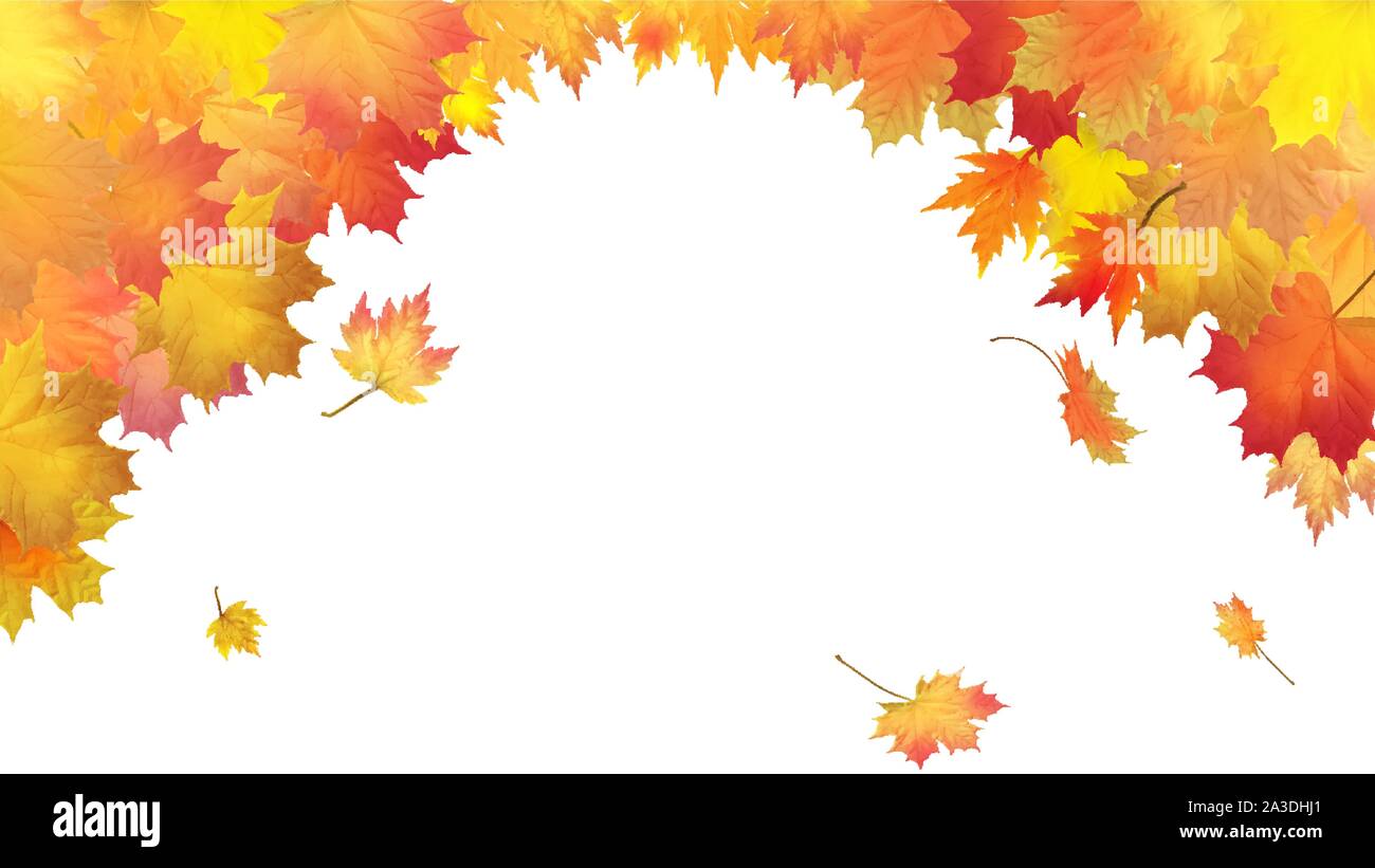 Falling leaves on white background, vector illustration Stock Vector ...
