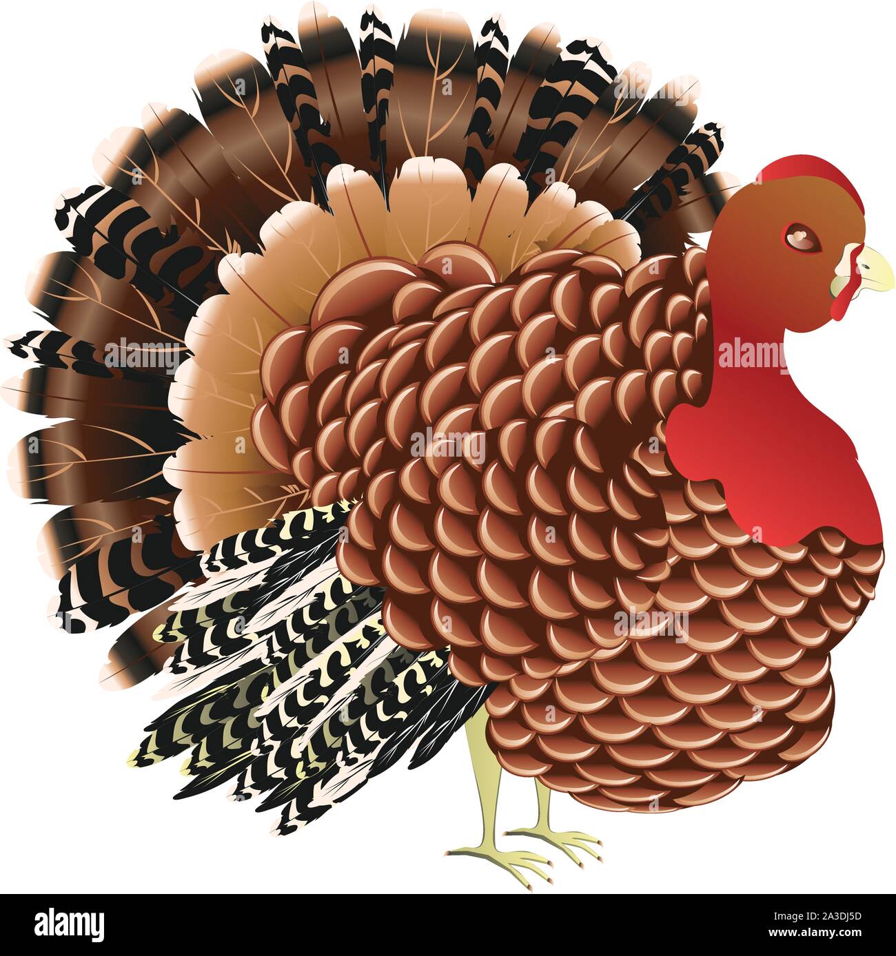 Cute stylized cartoon turkey bird, Thanksgiving turkey Stock Vector ...