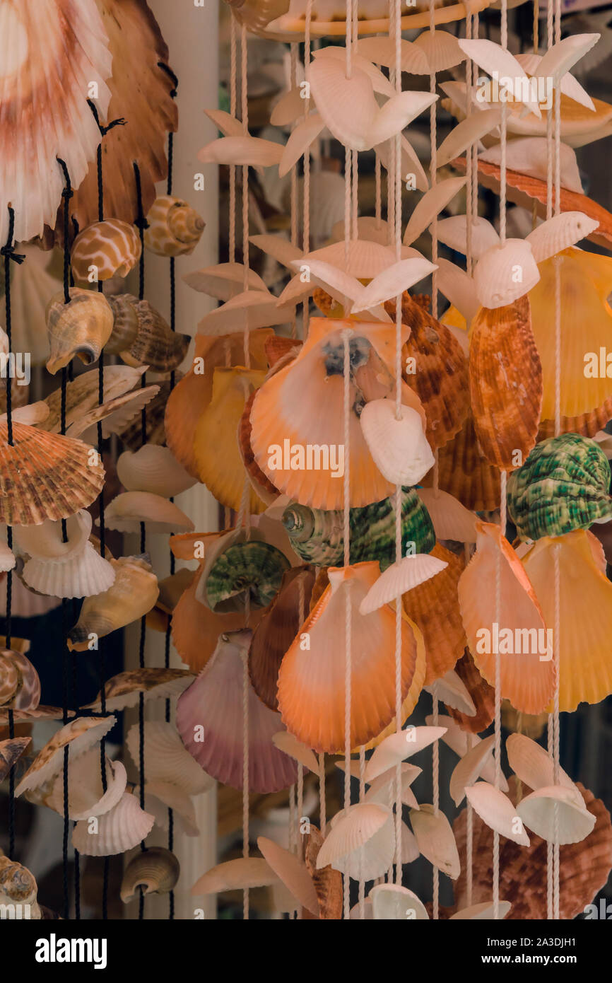 Decorative sea shells on a chain Stock Photo - Alamy