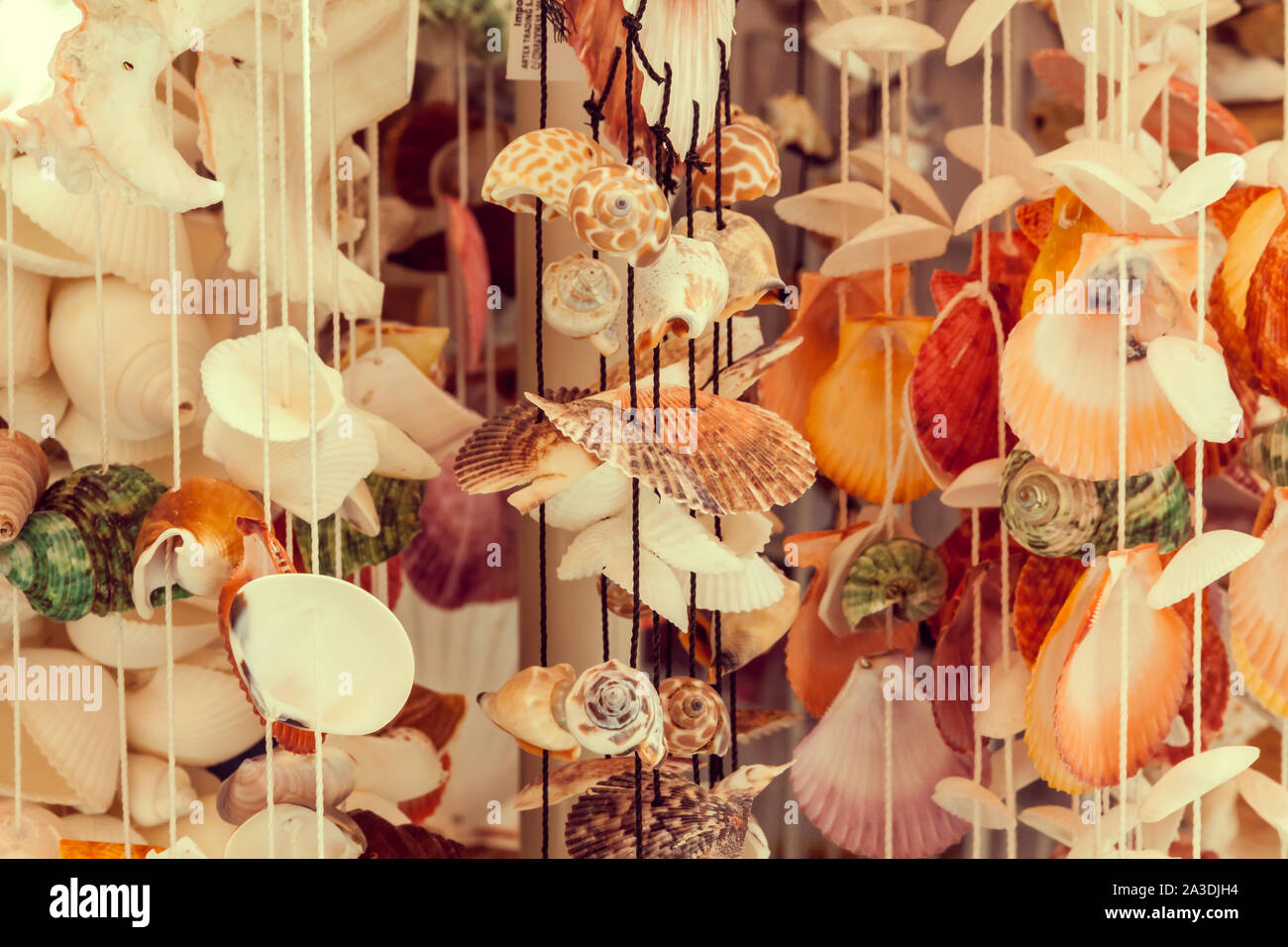 The ocean food chain hi-res stock photography and images - Alamy