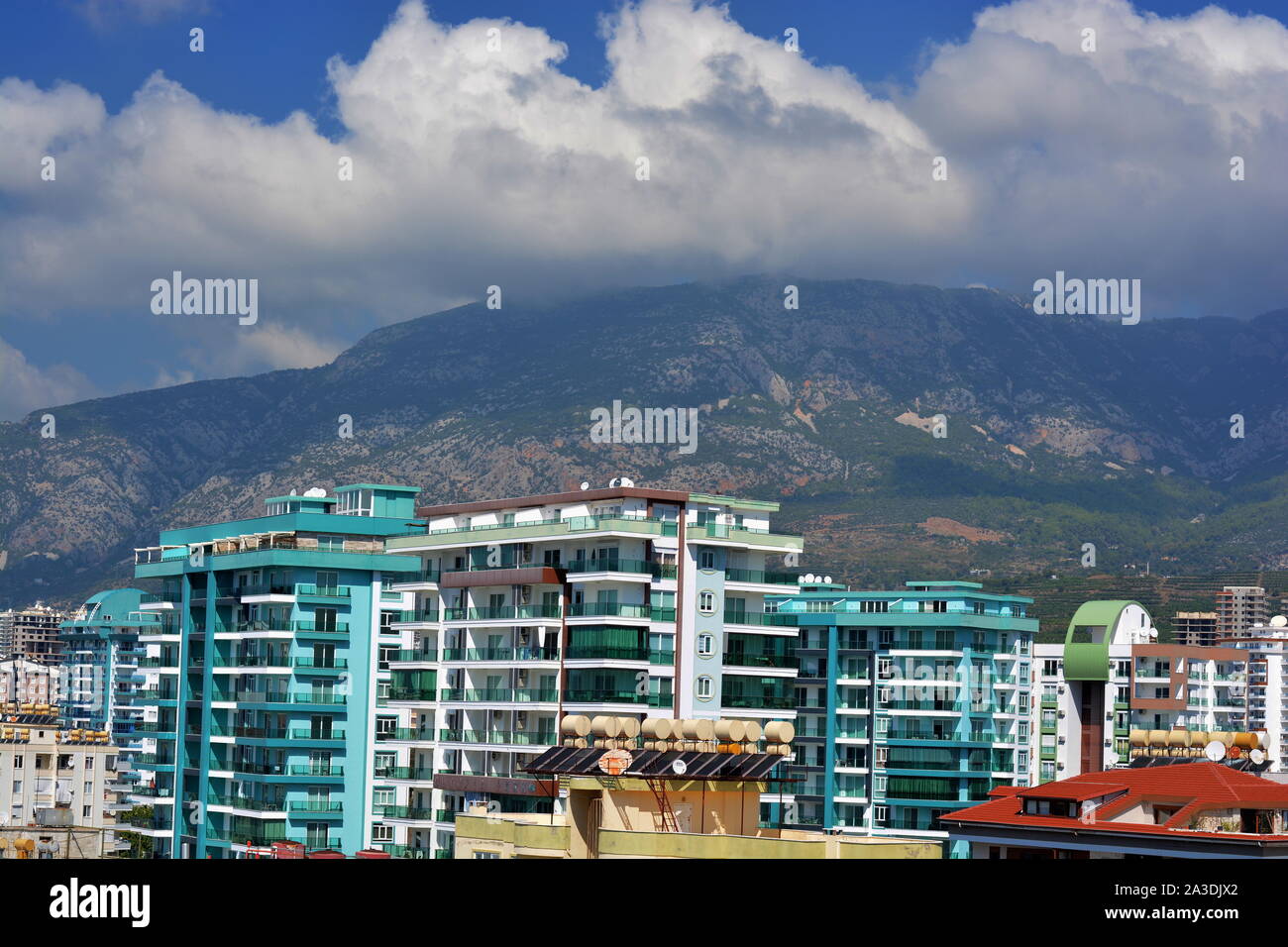 D400 turkey hi-res stock photography and images - Alamy