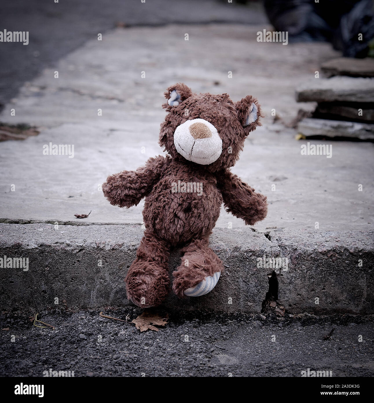 little teddy bear sitting on the side of the road during the day ...