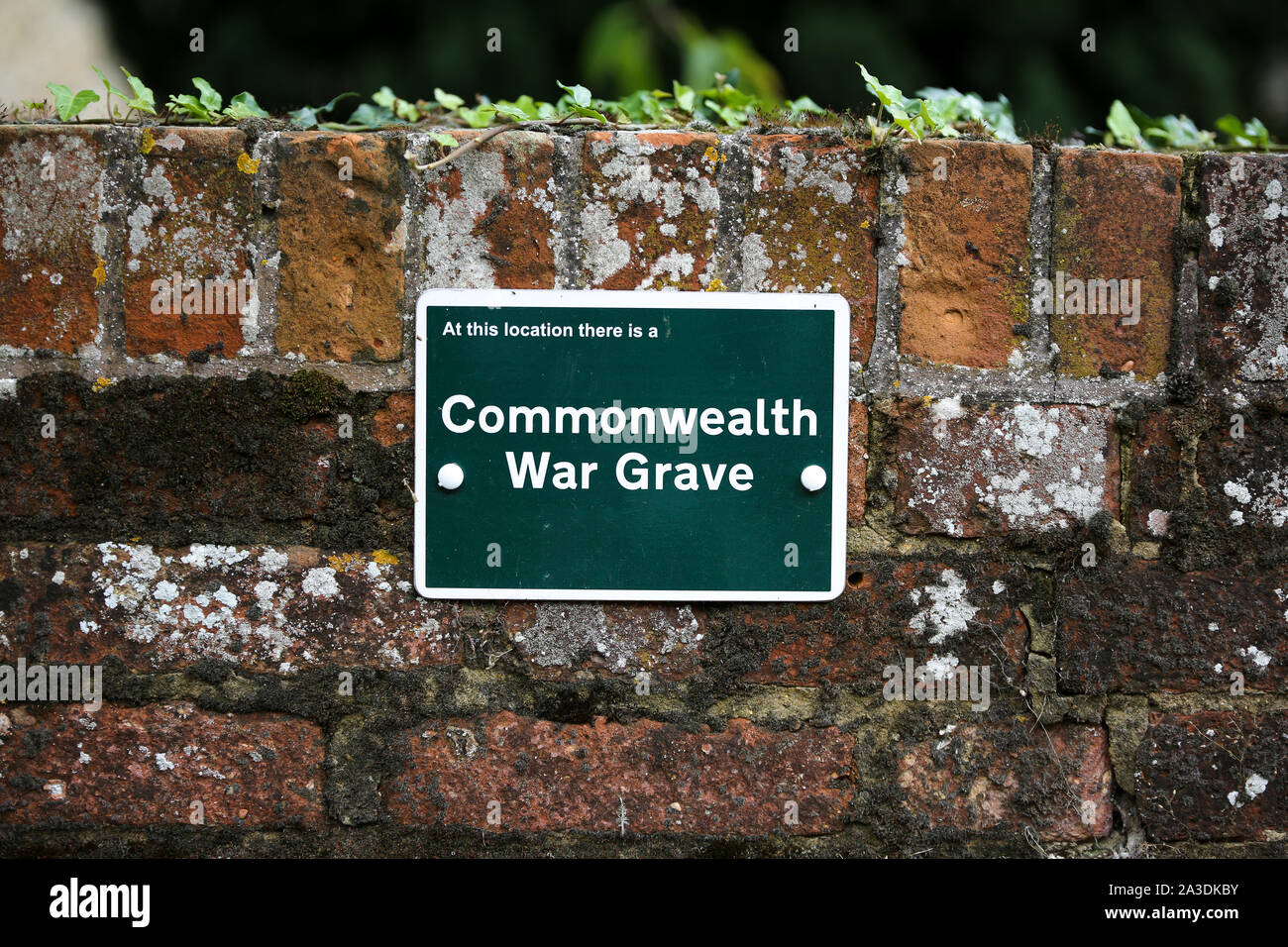Commonwealth army veteran hi-res stock photography and images - Alamy